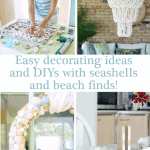 10 Amazing Seashell Decorating Ideas You'll Be Proud Of!